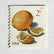 2c Lemon Stamps .. Unused US Postage Stamps .. Pack of 20 ...