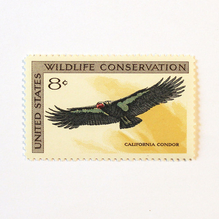 Animals & Birds – treasurefoxstamps